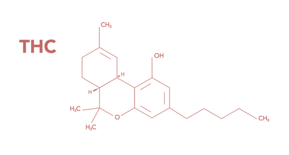 ¿Qué es el THC (tetrahidrocannabinol)?